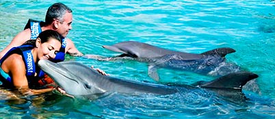 XCARET PARK + swim with dolphins , snorkeling + folkloric shows ...